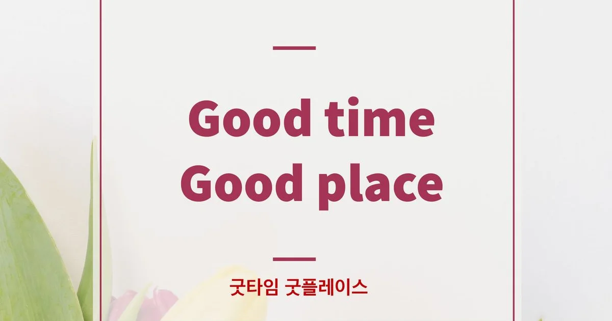 김다미 고수의 개인용 영상 촬영 서비스 경기 안양시 숨고 숨은고수