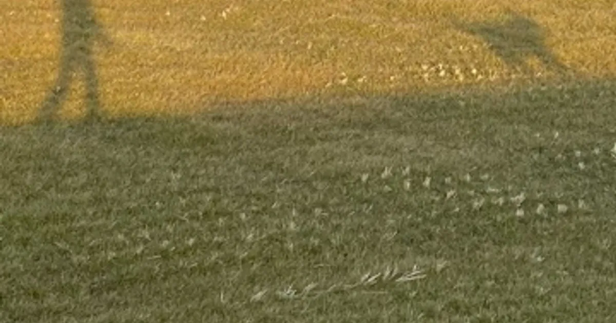 박정원 고수의 영어 과외 서비스, 경기 고양시 - 숨고, 숨은고수