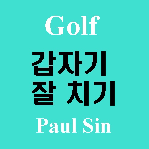Paul Sin 고수의 골프 레슨 서비스, 서울 강동구 - 숨고, 숨은고수